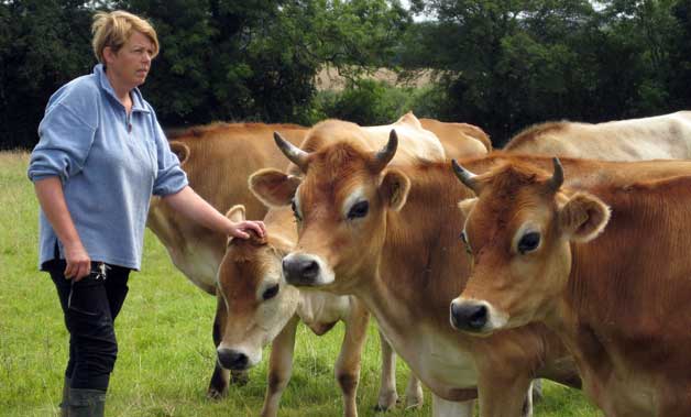 Compassion award is music to the ears of Hampshire Jersey Beef farmers