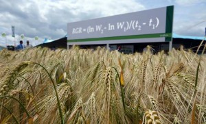 Mathematics plays a key role in agriculture | Farming Monthly National