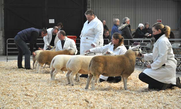 Cornish Winter Fair to celebrate the best of Cornish farming and food ...